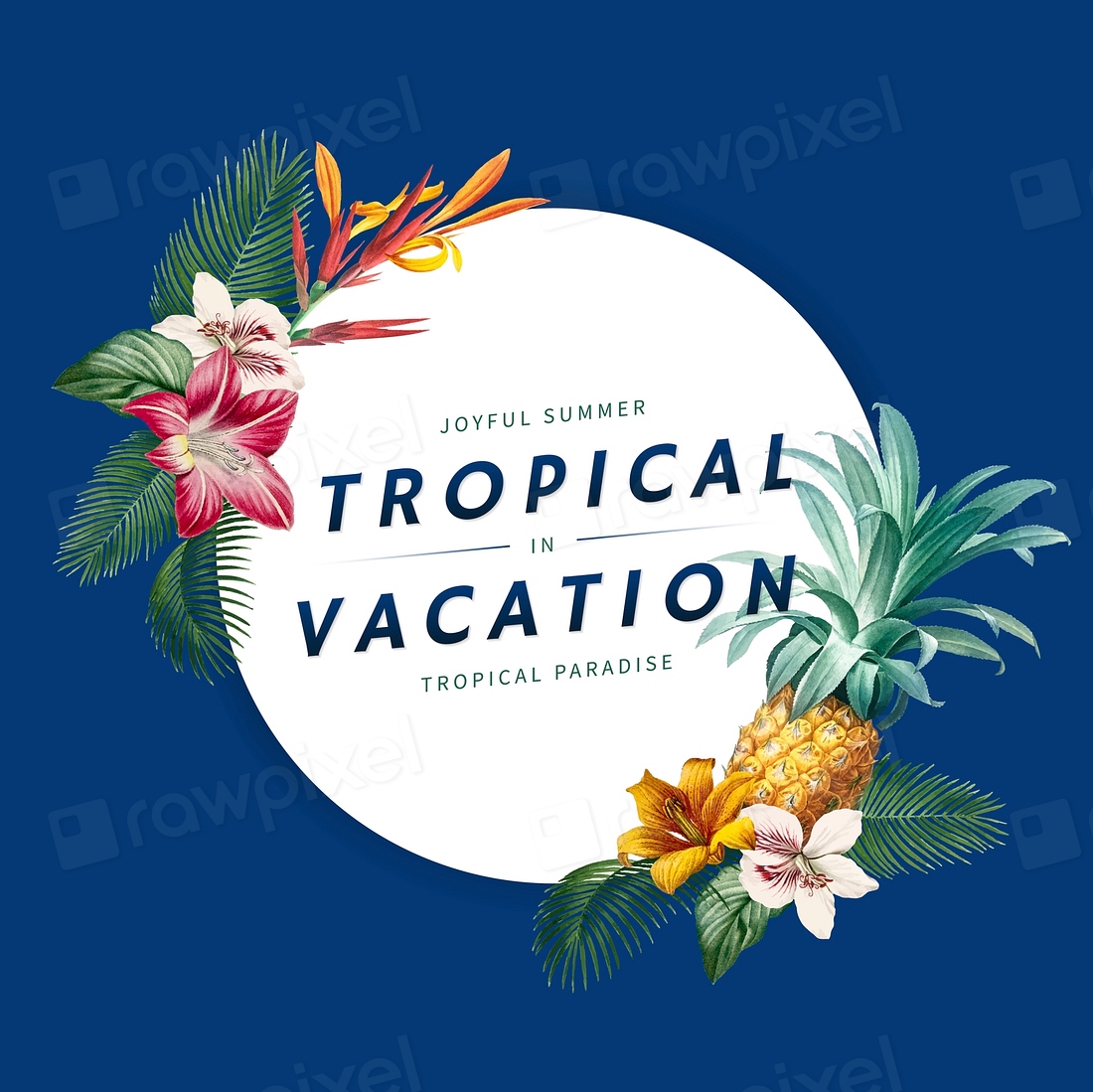 Tropical round frame blue background | Premium Vector - rawpixel