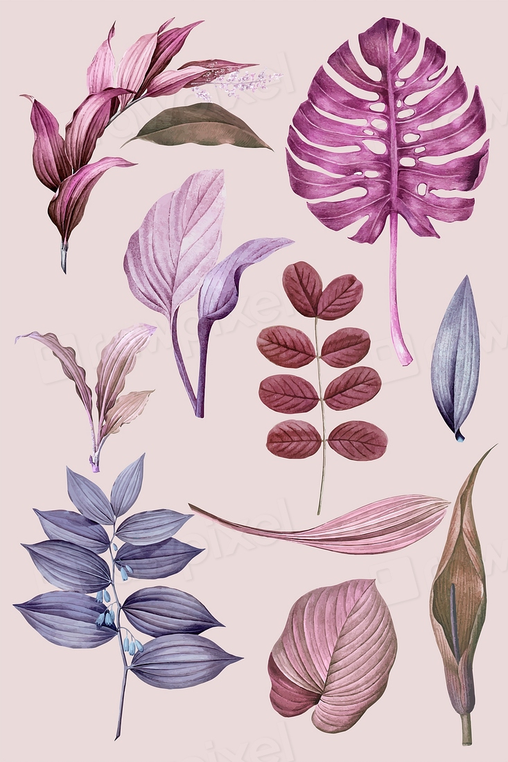 Purple leaves collection design vector | Premium Vector - rawpixel