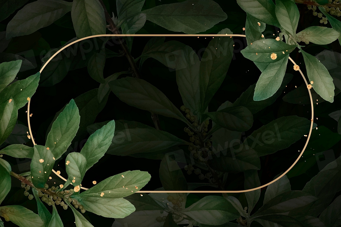 Gold frame foliage pattern background | Premium Vector - rawpixel
