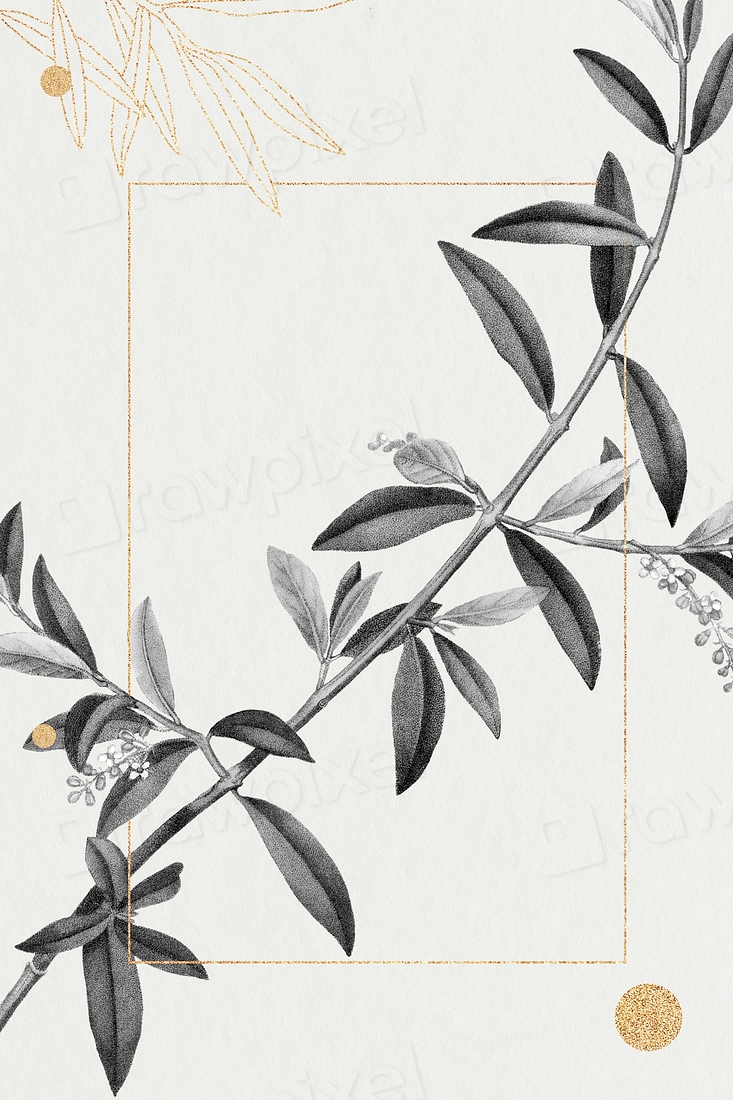 Rectangle gold frame olive branch | Premium PSD - rawpixel