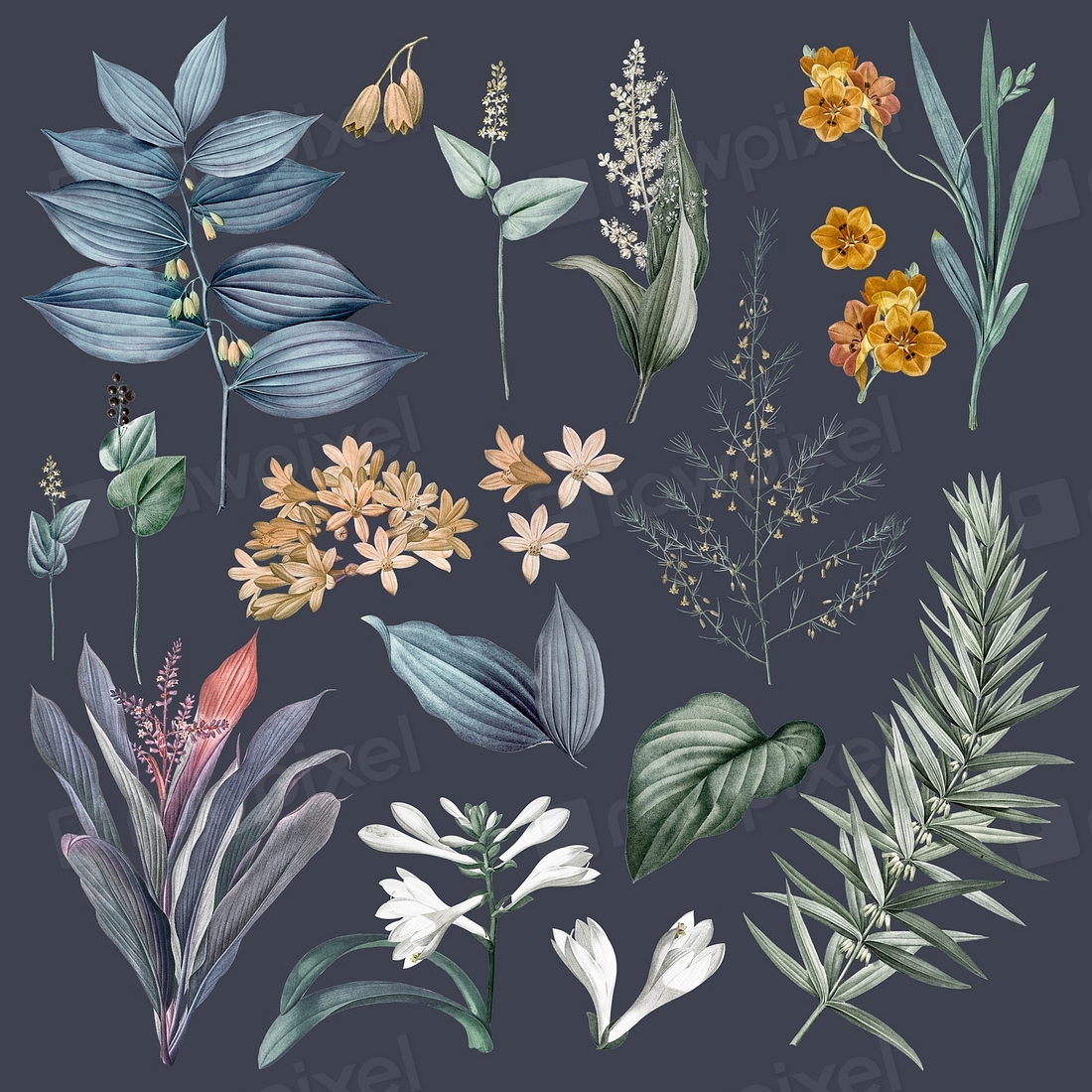Set flowers and plant illustrations | Premium PSD - rawpixel