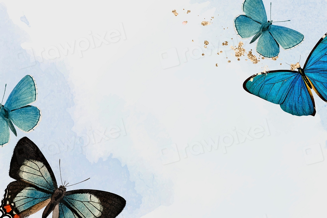 Blue butterflies patterned background vector | Premium Vector - rawpixel