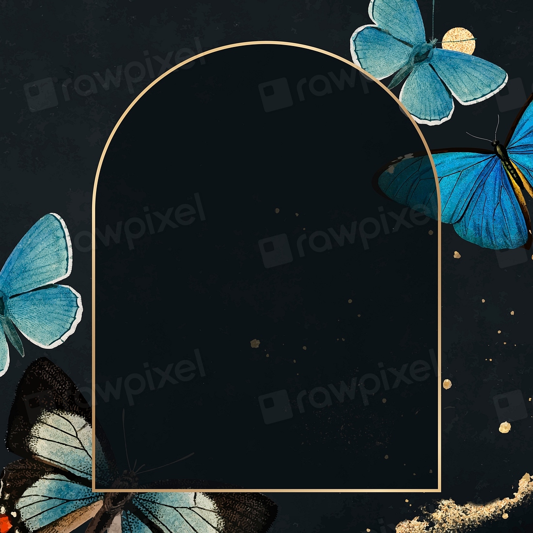 Gold frame blue butterflies patterned | Premium Vector - rawpixel