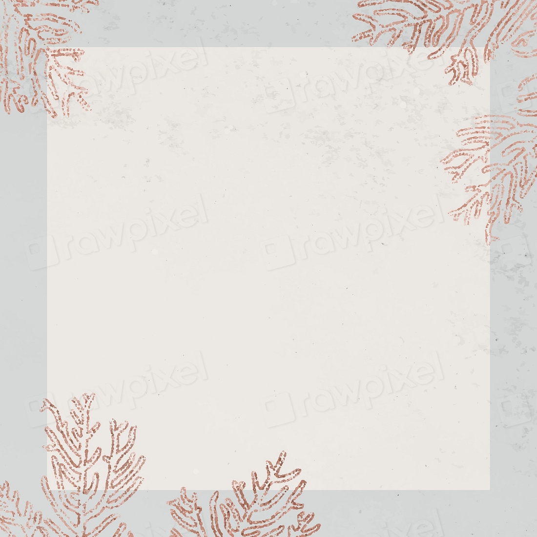 Blank square coral frame vector | Premium Vector - rawpixel