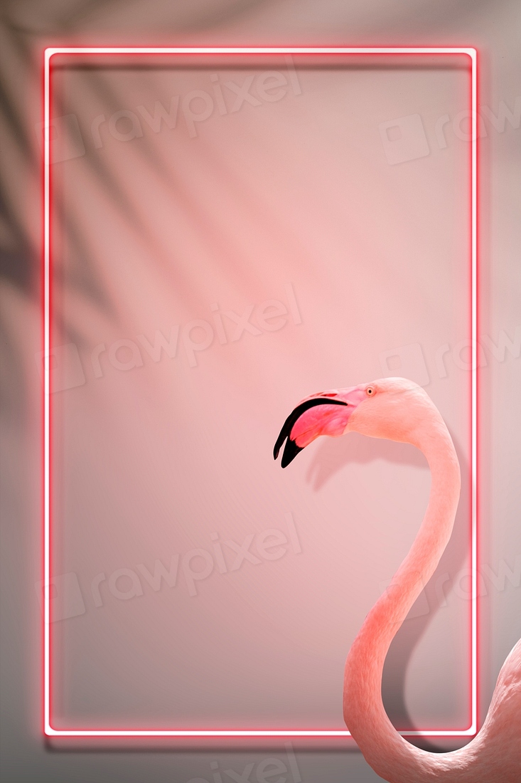 Pink flamingo decorated neon lights | Premium PSD - rawpixel