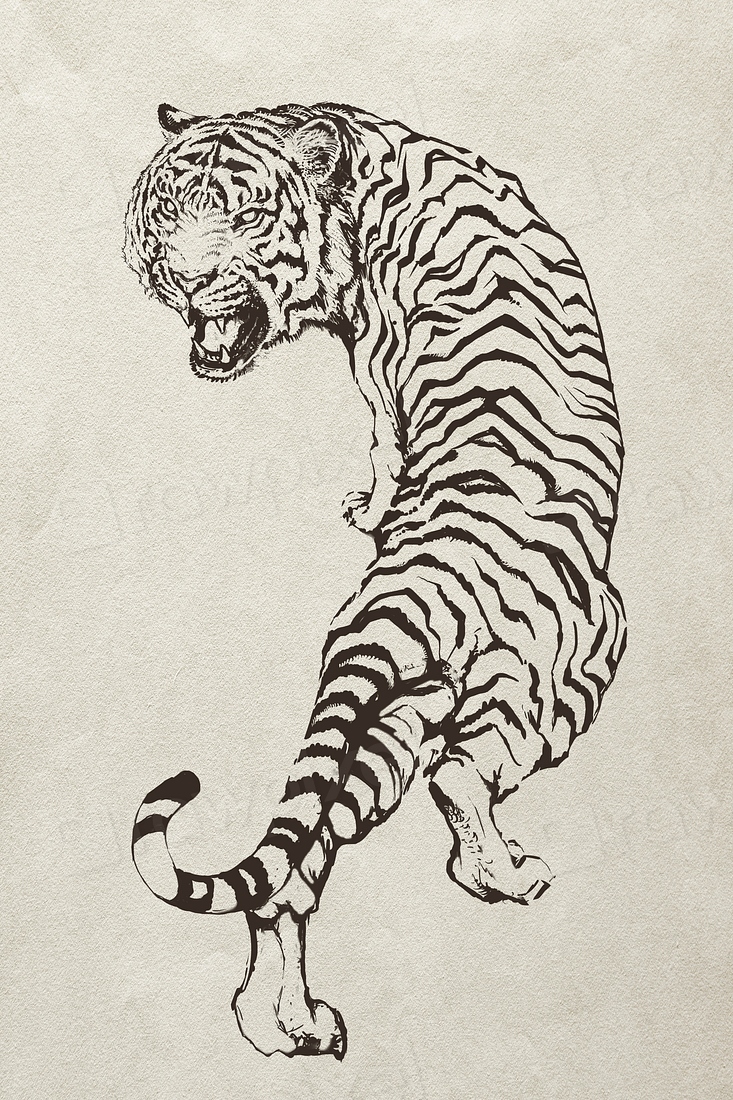 Hand drawn roaring tiger illustration | Premium Photo Illustration ...