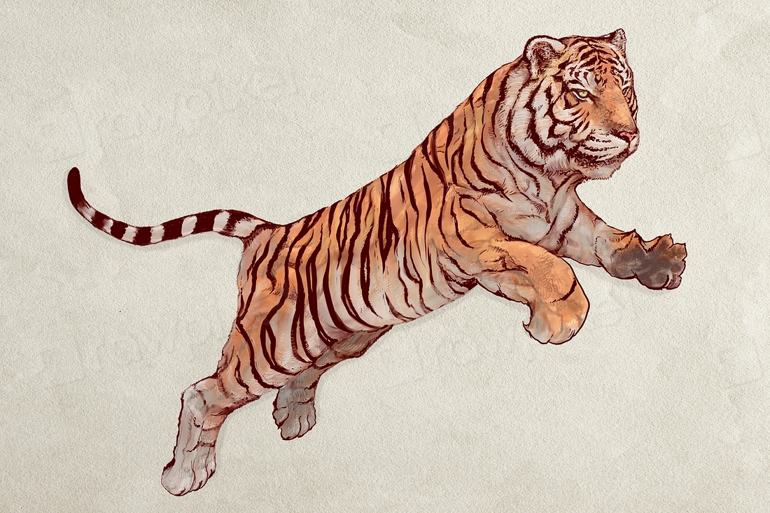 Hand drawn jumping tiger illustration | Premium PSD - rawpixel