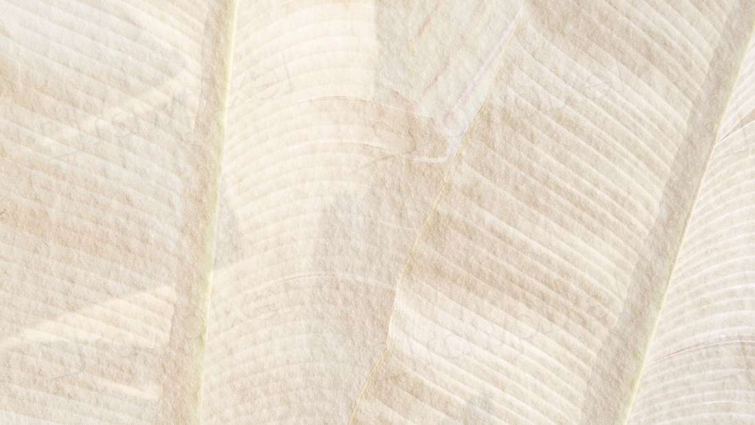 Cream computer wallpaper, banana leaf | Premium Photo - rawpixel
