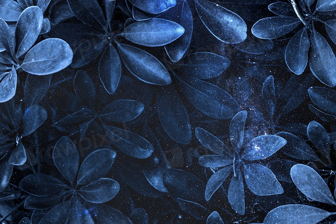 Leafy plant patterned blue background | Free Photo - rawpixel