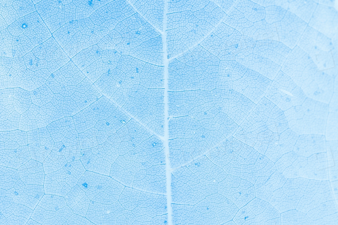 Leaf textured light blue background | Premium Photo - rawpixel