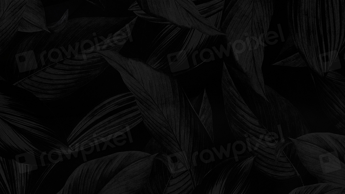 Black leaf HD wallpaper, botanical | Premium Photo - rawpixel