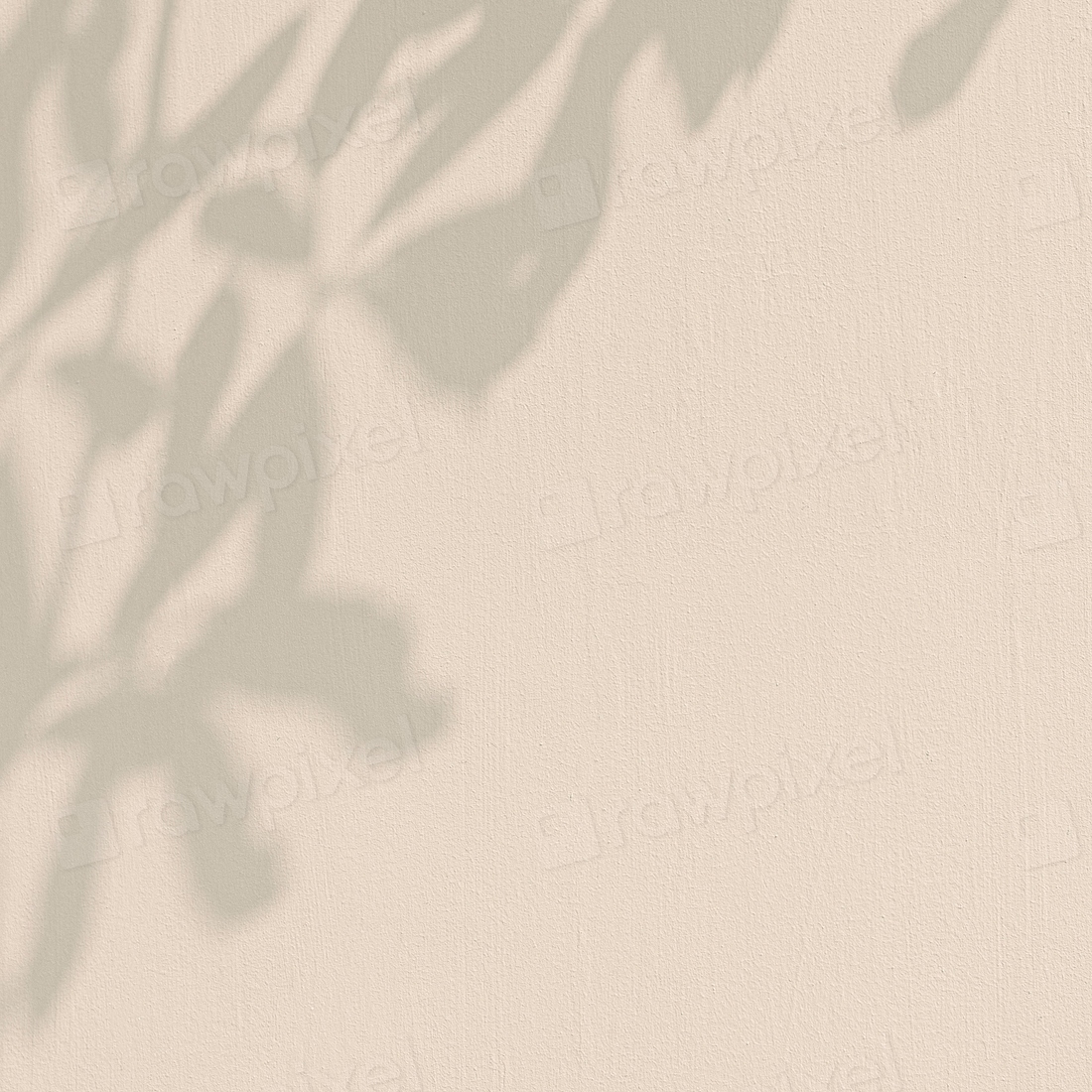 Leaves shadow beige wall | Premium Photo - rawpixel