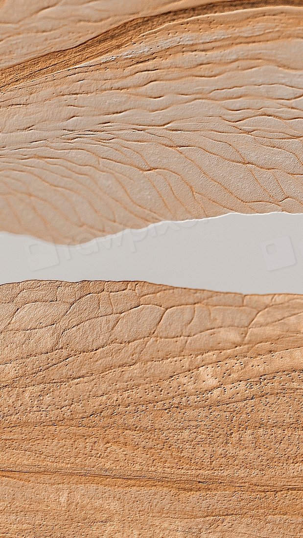 Dried copper lily leaf textured | Premium Photo - rawpixel