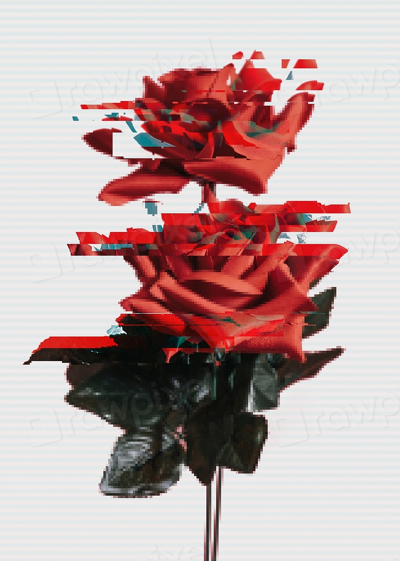 Red rose glitch effect design | Premium PSD - rawpixel