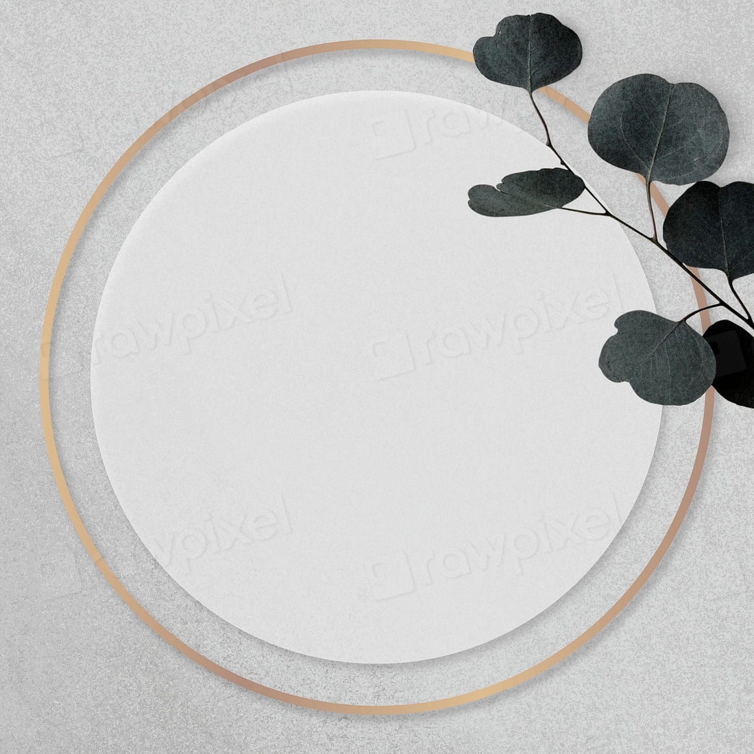 Eucalyptus gold frame psd gray | Premium PSD - rawpixel