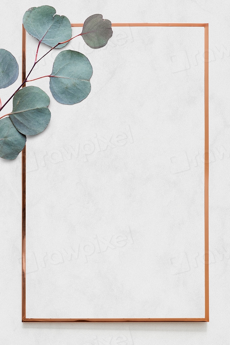 Eucalyptus gold frame psd gray | Premium PSD - rawpixel