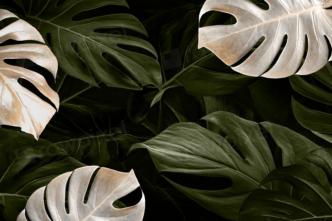 Floral background monstera leaves psd | Premium PSD - rawpixel