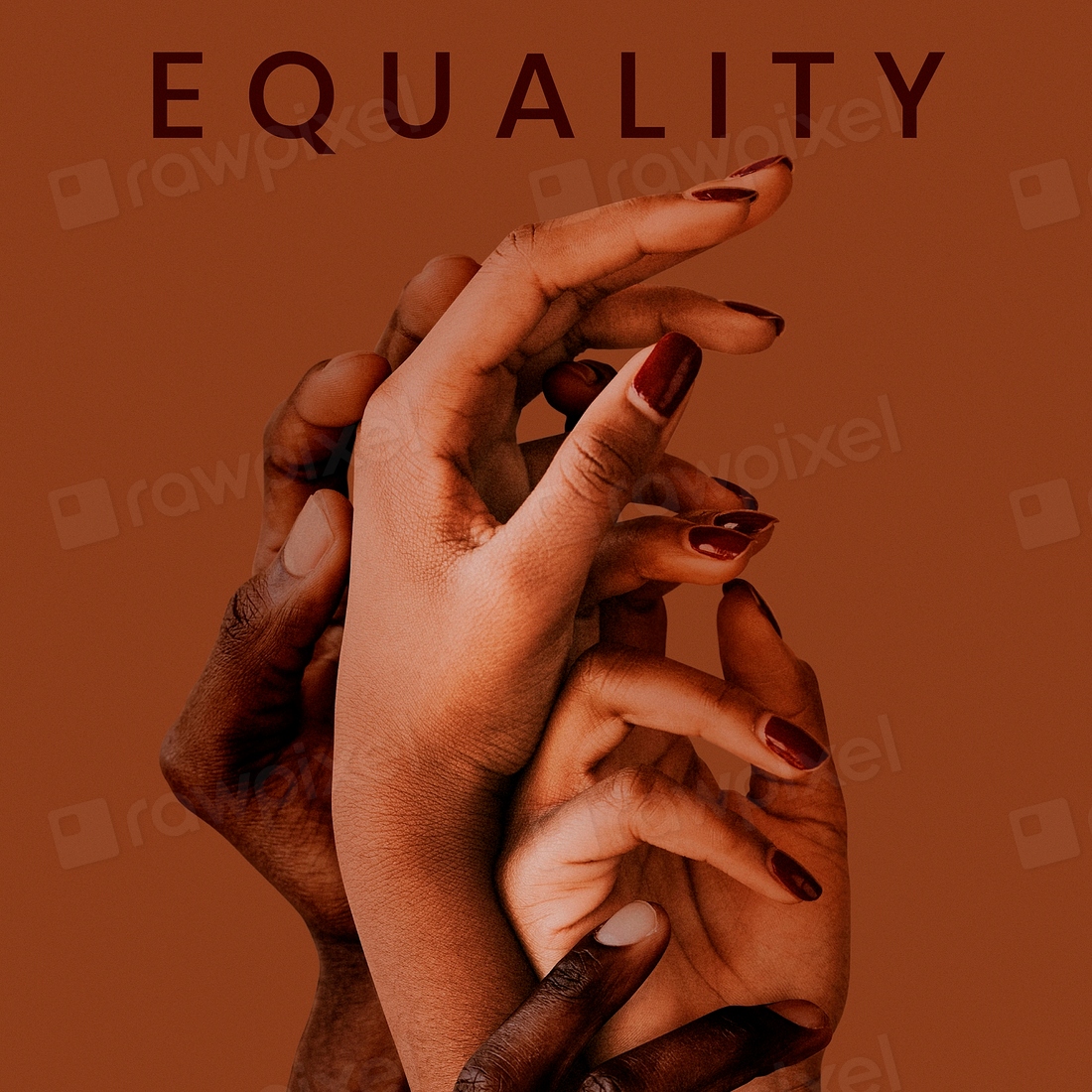 Diverse hands rise for ‘Equality’ | Premium Photo - rawpixel