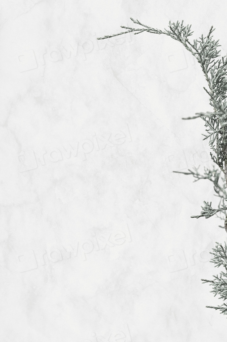 Psd pine tree white background | Premium PSD - rawpixel