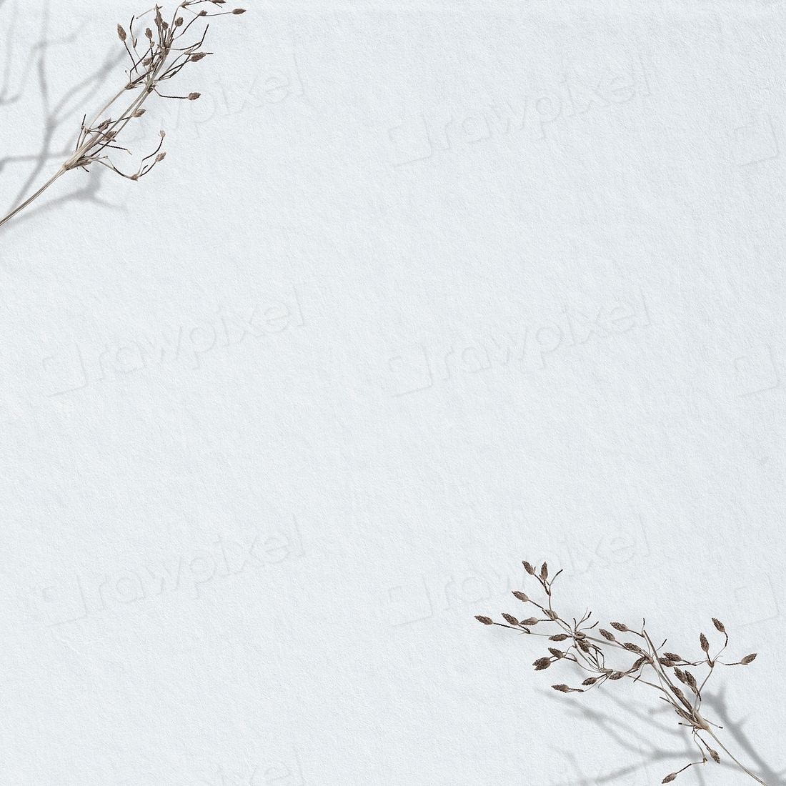 Psd dry flower border blue | Premium PSD - rawpixel