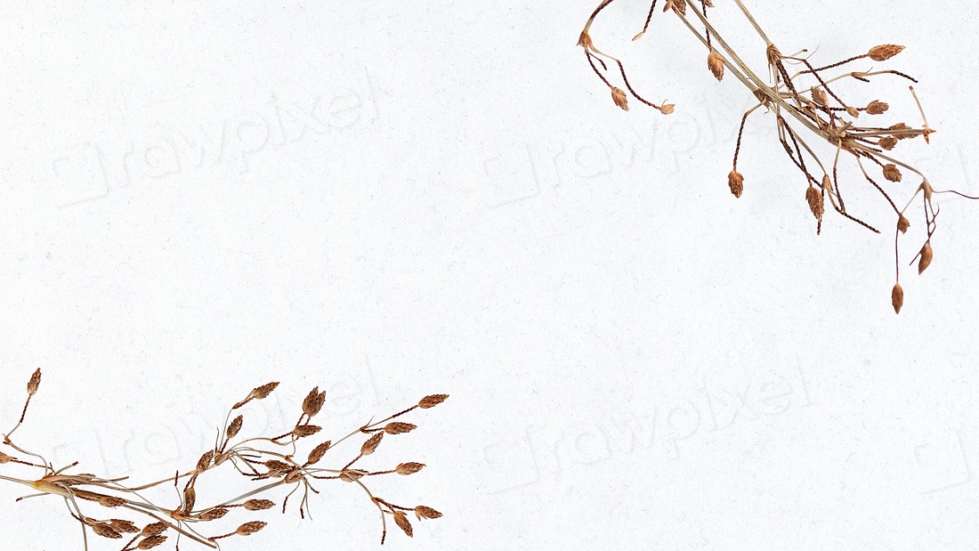 Dried flower frame textured background | Premium Photo - rawpixel