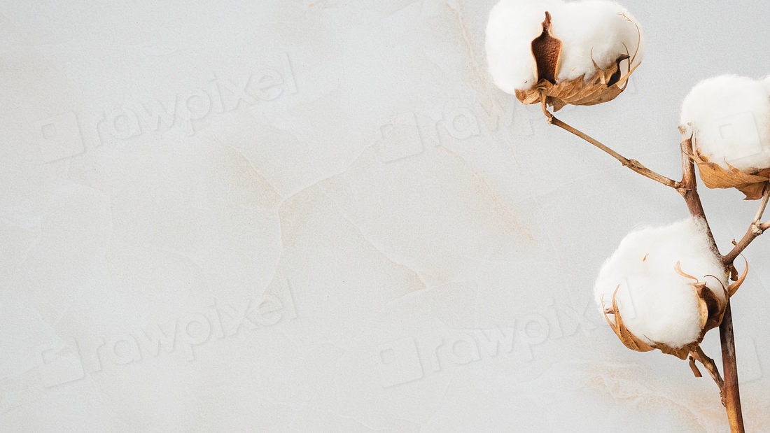 Cotton flower background and design | Premium PSD - rawpixel