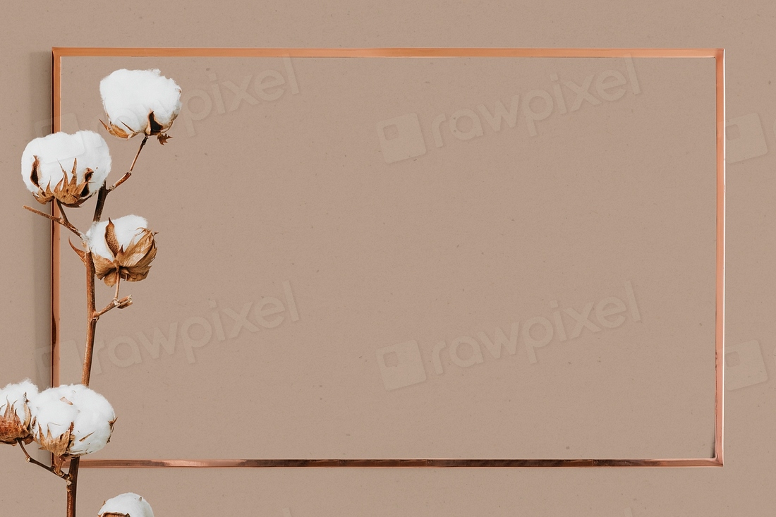 Dried cotton flower frame metallic | Premium PSD - rawpixel