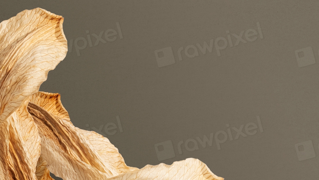 Beige minimal flower background design | Free Photo - rawpixel