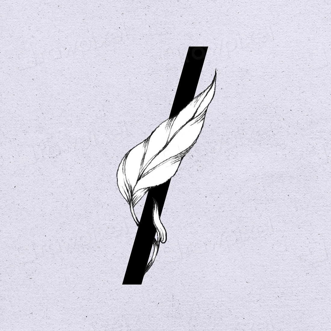 Slash symbol floral decorated typography | Premium Photo - rawpixel