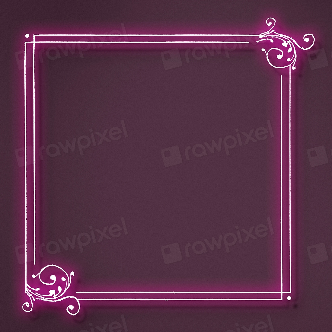 Neon pink filigree frame border | Premium PSD - rawpixel