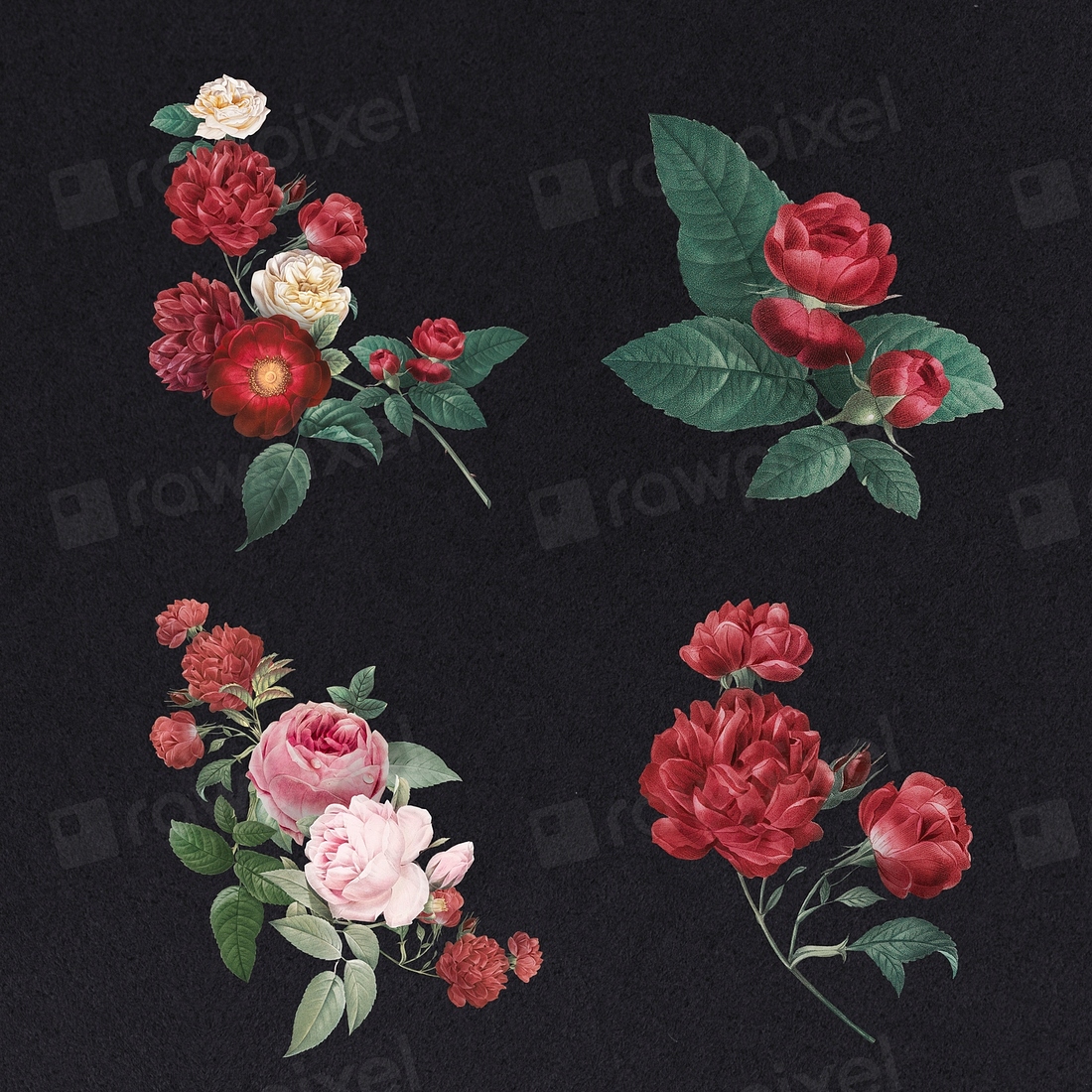 Luxury Valentine's red roses psd | Premium PSD - rawpixel