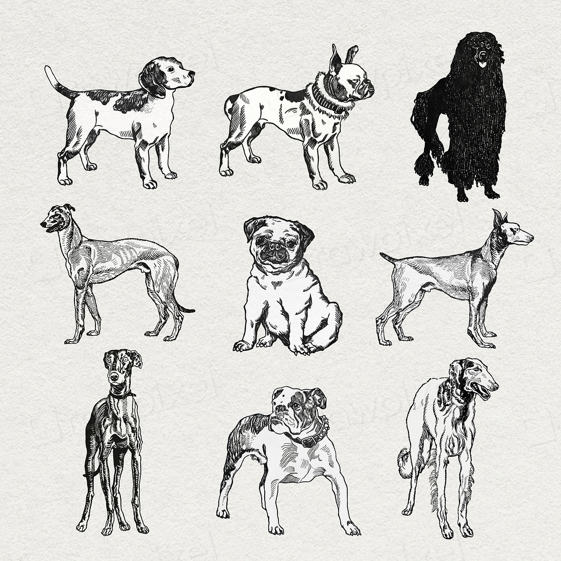 Vintage dog stickers psd black | Premium PSD - rawpixel