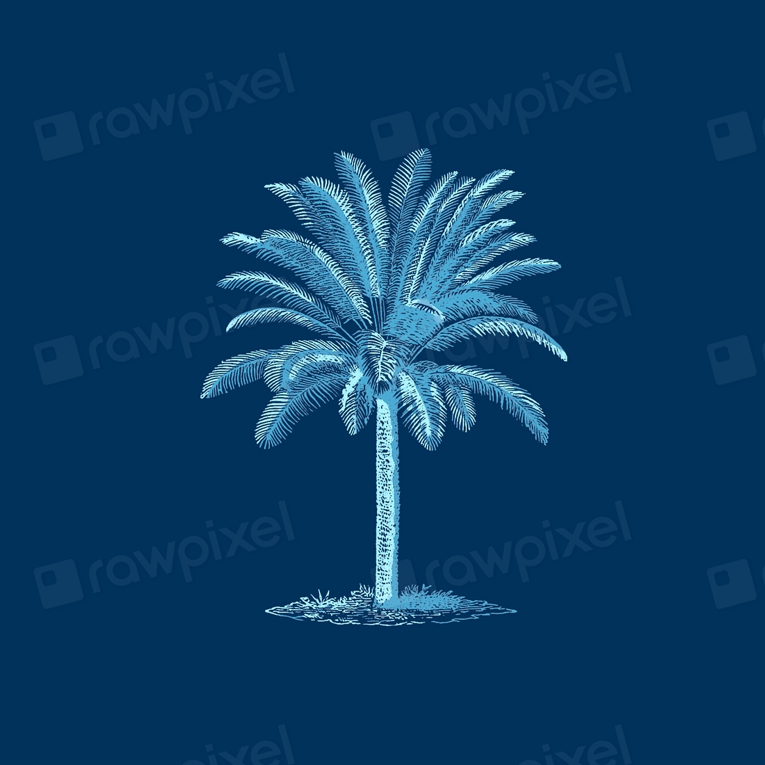 Blue palm tree psd hand | Premium PSD Illustration - rawpixel