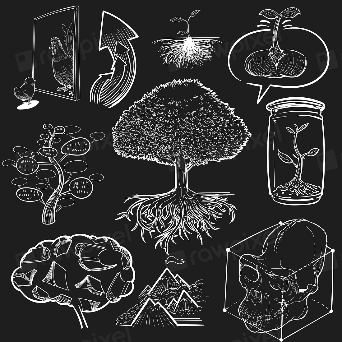 Hand drawing illustration set development | Free Photo - rawpixel