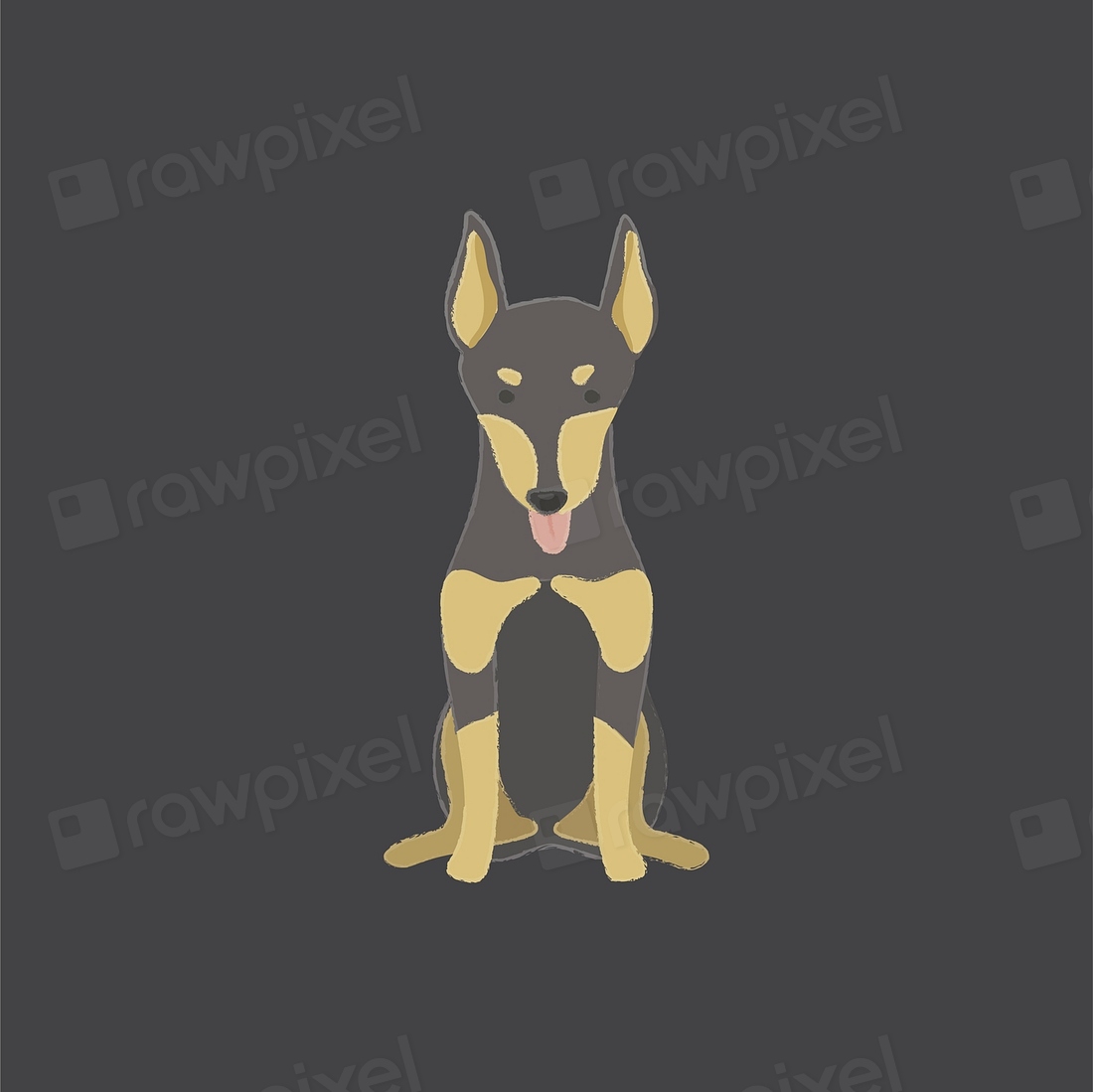 Cute illustration doberman dog | Premium Vector - rawpixel