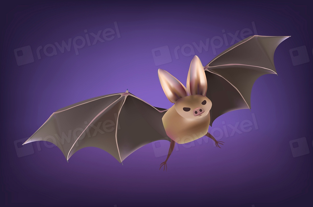 Illustration of a Halloween bat | Free Vector Illustration - rawpixel