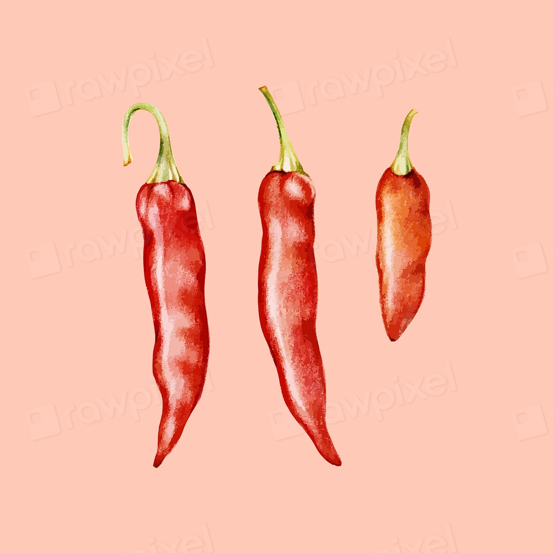 Hand drawn vegetable collection vector | Premium Vector Illustration ...