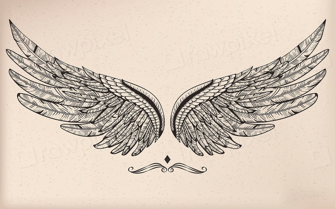 Vintage vector wing | Premium Vector Illustration - rawpixel