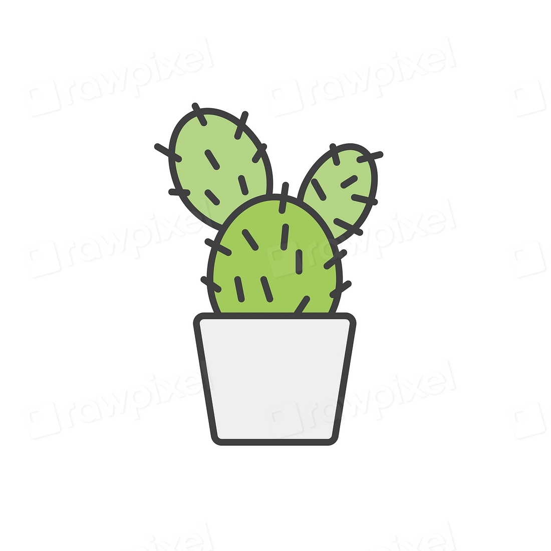 Cactus vector | Premium Vector - rawpixel
