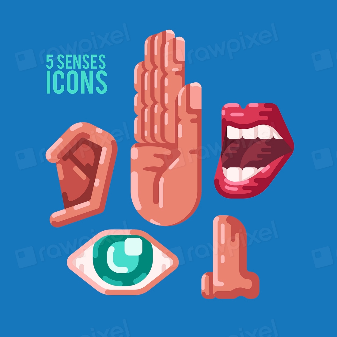 Human 5 senses icons illustration | Premium Vector - rawpixel