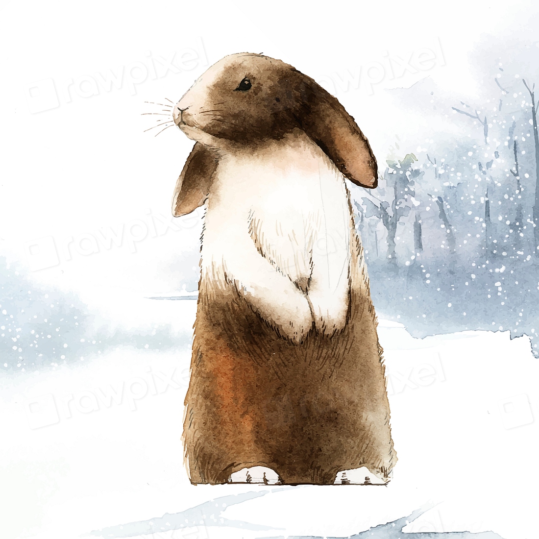 Wild brown rabbit winter wonderland | Premium Vector Illustration ...