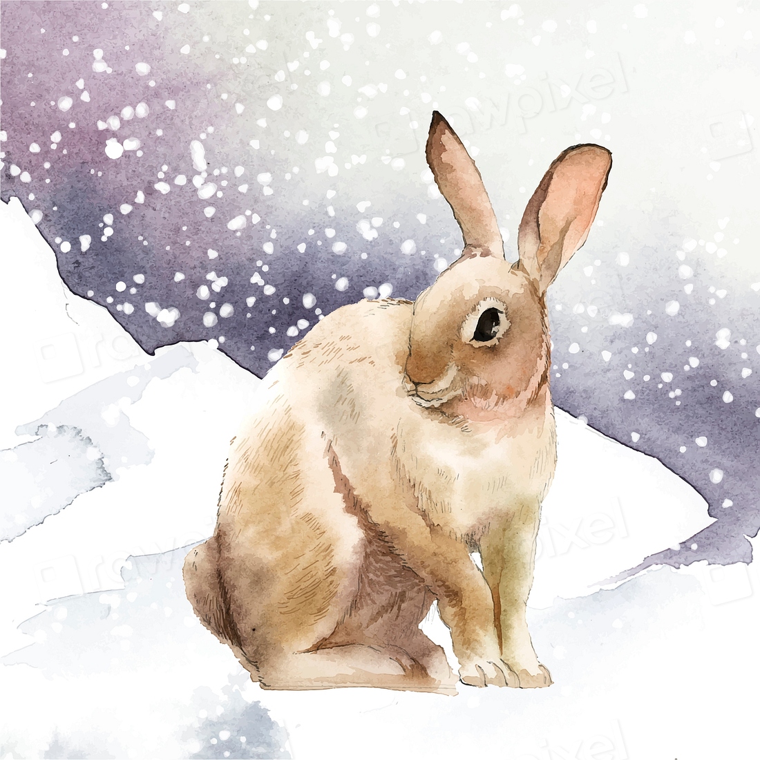 Wild brown rabbit winter wonderland | Premium Vector Illustration ...