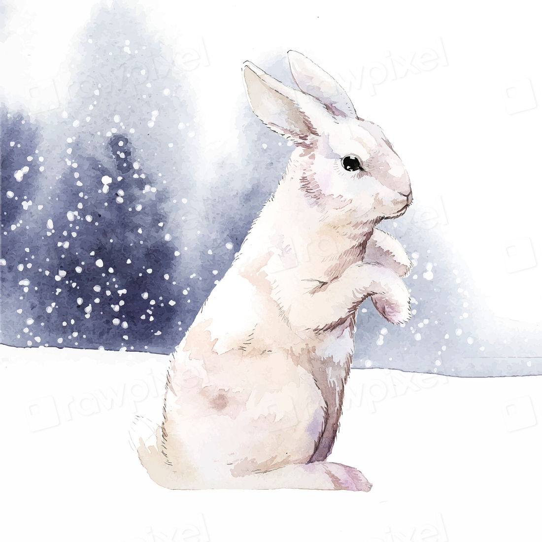 Wild white rabbit winter wonderland | Premium Vector Illustration ...