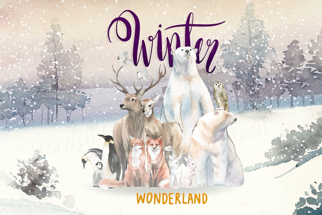 Group wild animals winter wonderland | Premium Vector - rawpixel