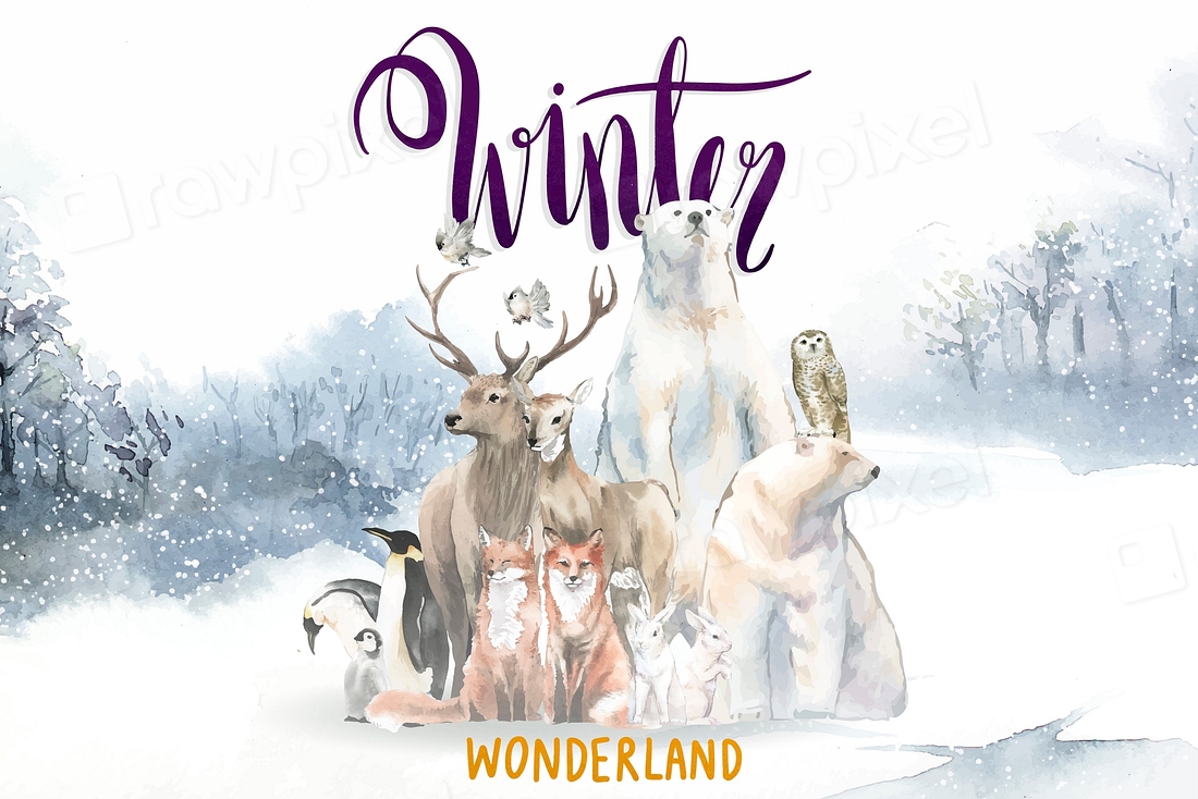 Group wild animals winter wonderland | Free Vector - rawpixel