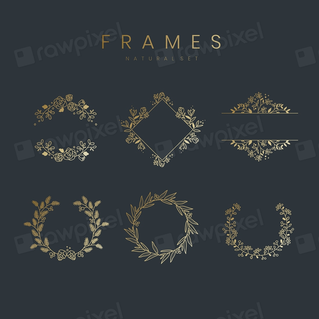 Set botanical frame design elements | Premium Vector - rawpixel