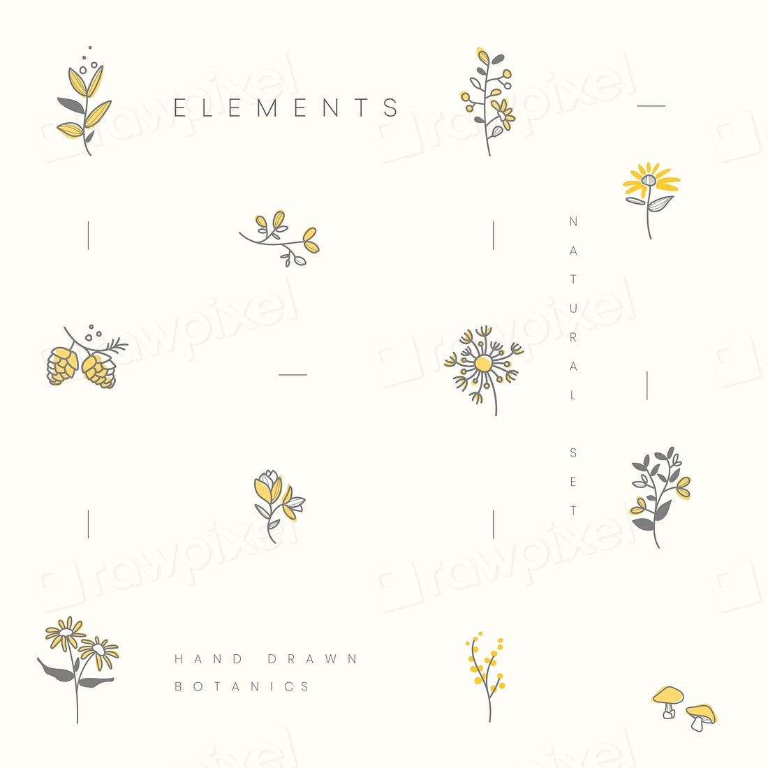 Set hand drawn botanical elements | Premium Vector - rawpixel