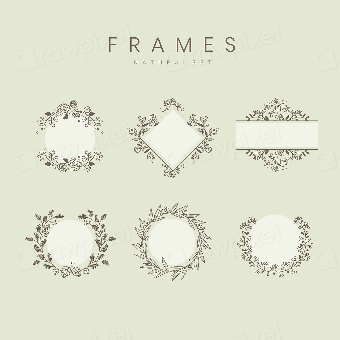 Set botanical frame design elements | Premium Vector - rawpixel