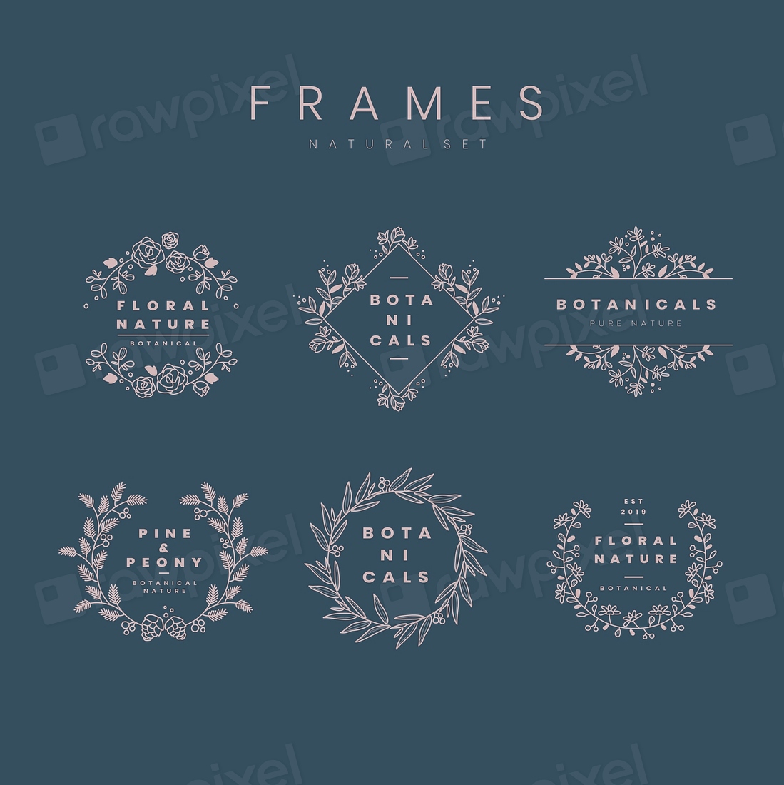 Set botanical frame design elements | Premium Vector - rawpixel