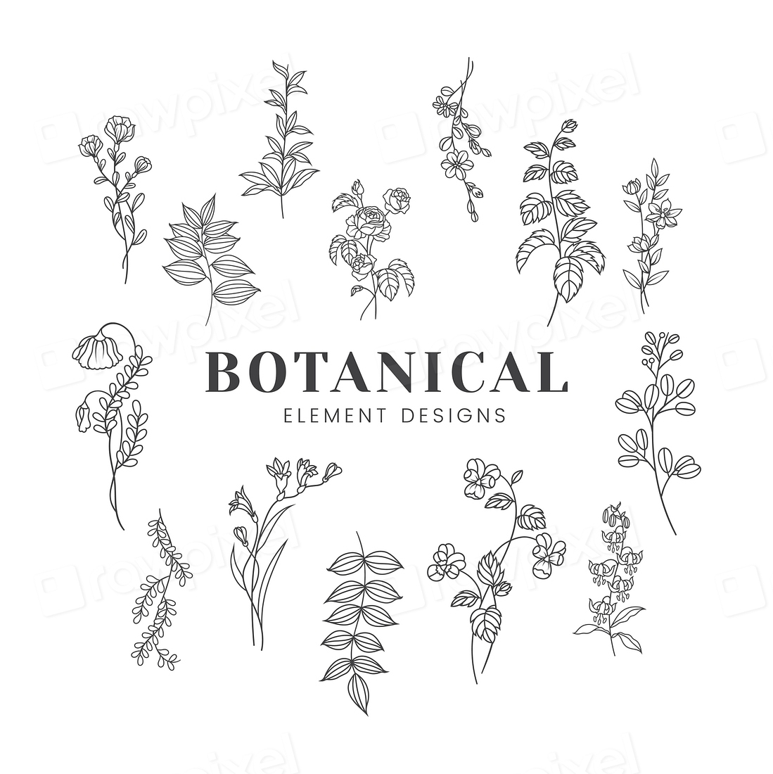 Blooming botanical element design vector | Premium Vector - rawpixel